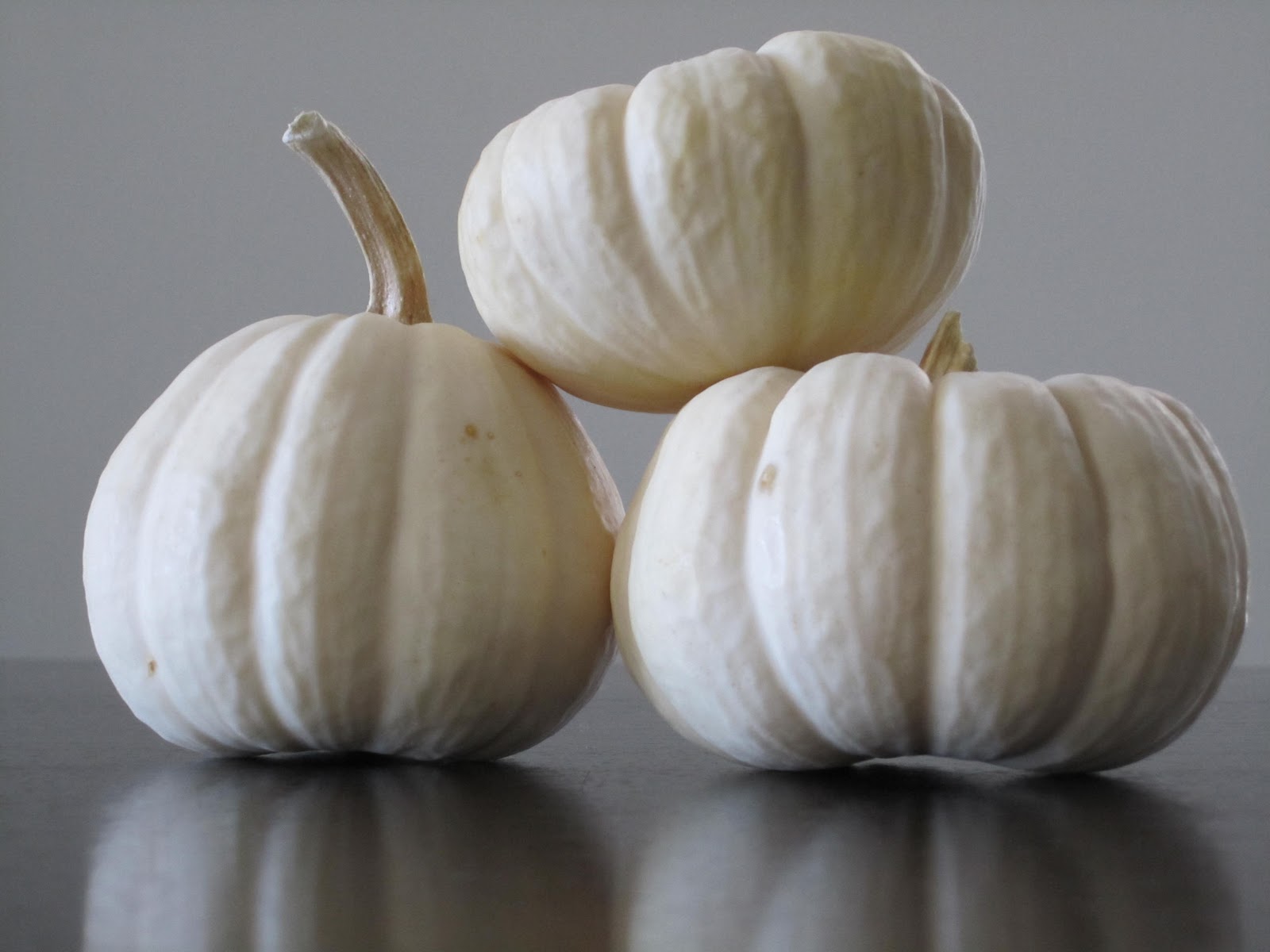 turkey time, happy thanksgiving! — Calmly Chaotic