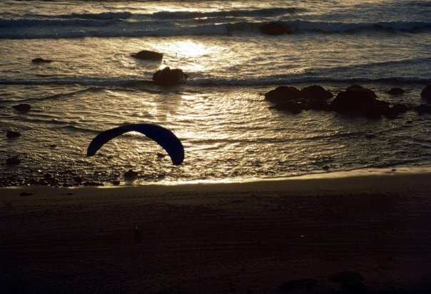 Dejando Huellas...: Elogio de la mujer brava (Por Héctor Abad)