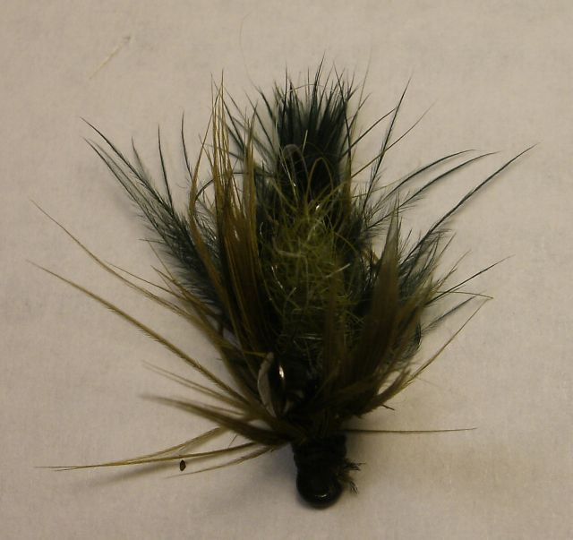 Fly-Carpin: Zimmerman’s Backstabber Carp Fly