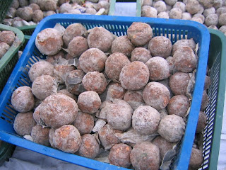 GREAT2B Toastmasters Club - Insight of the meetings: EM Mud Ball ...