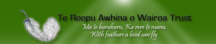 Koanga Festival 2012: Te Roopu Awhina Support for Schools