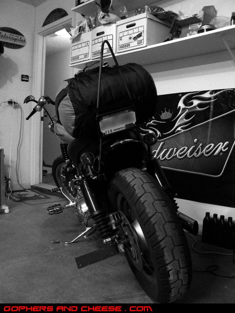 Gophers and Cheese: Homemade Sissy Bar