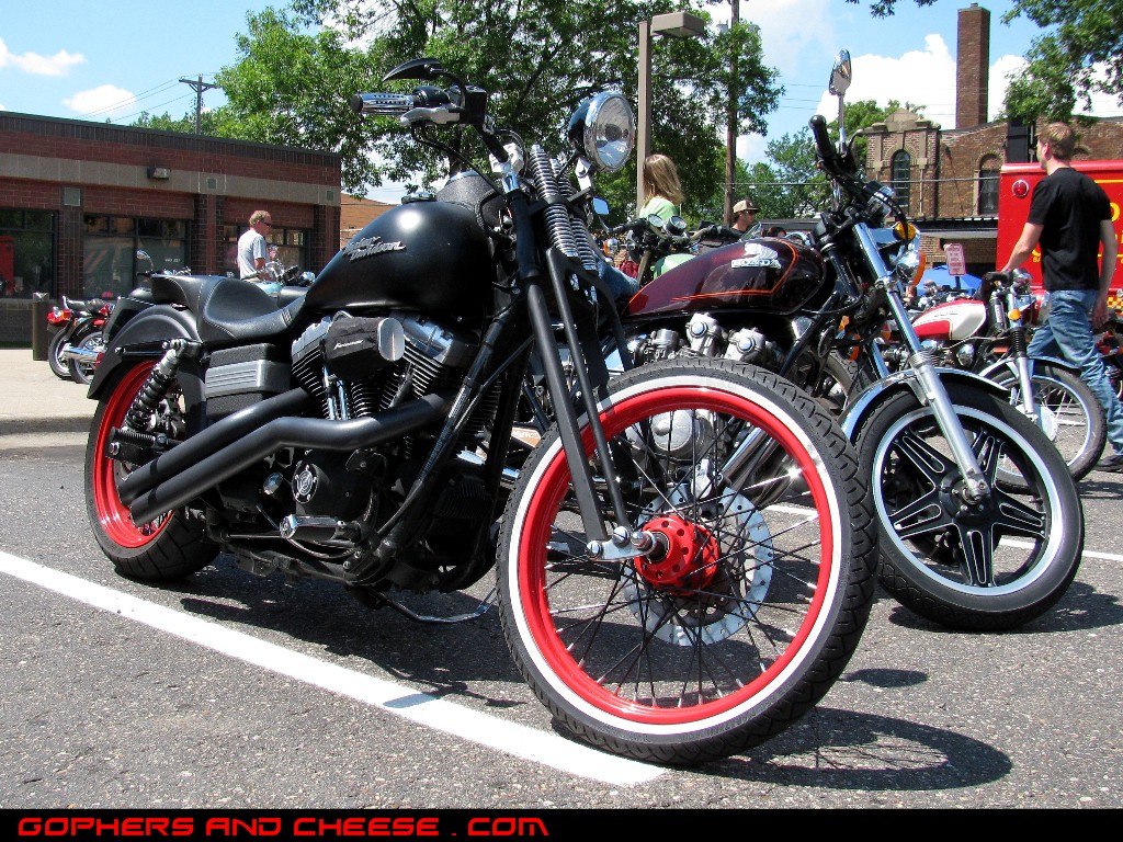 Gophers and Cheese: 2011.01