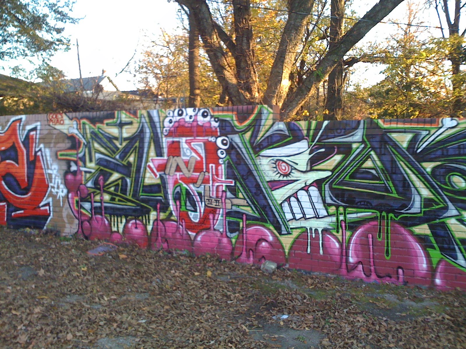 The Frontline: Cooper-Young graffiti