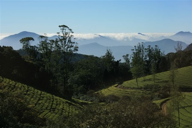 My Travel Memoirs: Meghamalai......Hidden Treasure