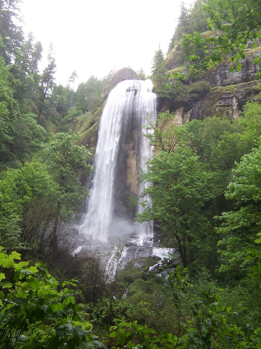 2 On the Road: Golden and Silver Falls State Park