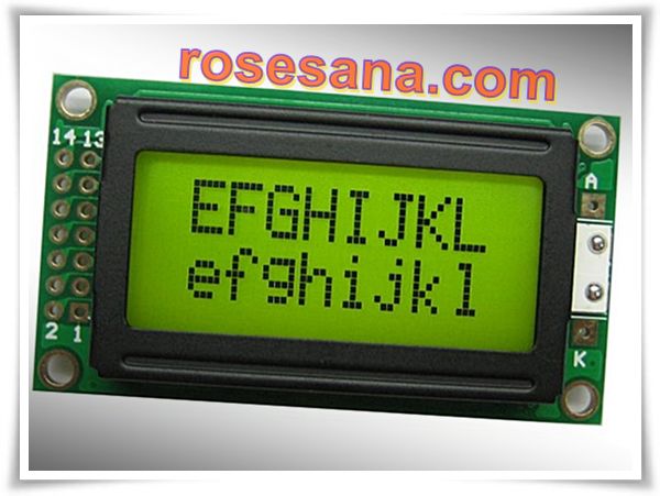 2R Hardware & Electronics: OEM Character LCD 8x2