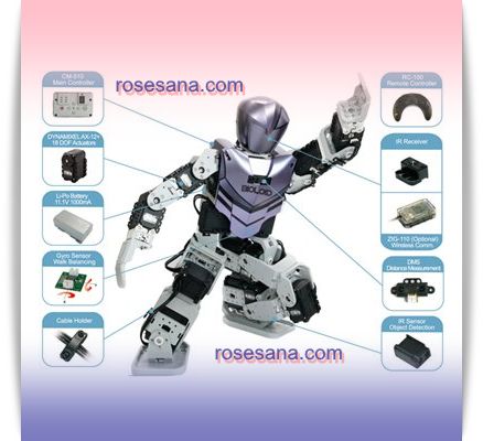 2R Hardware & Electronics: Bioloid Premium robot