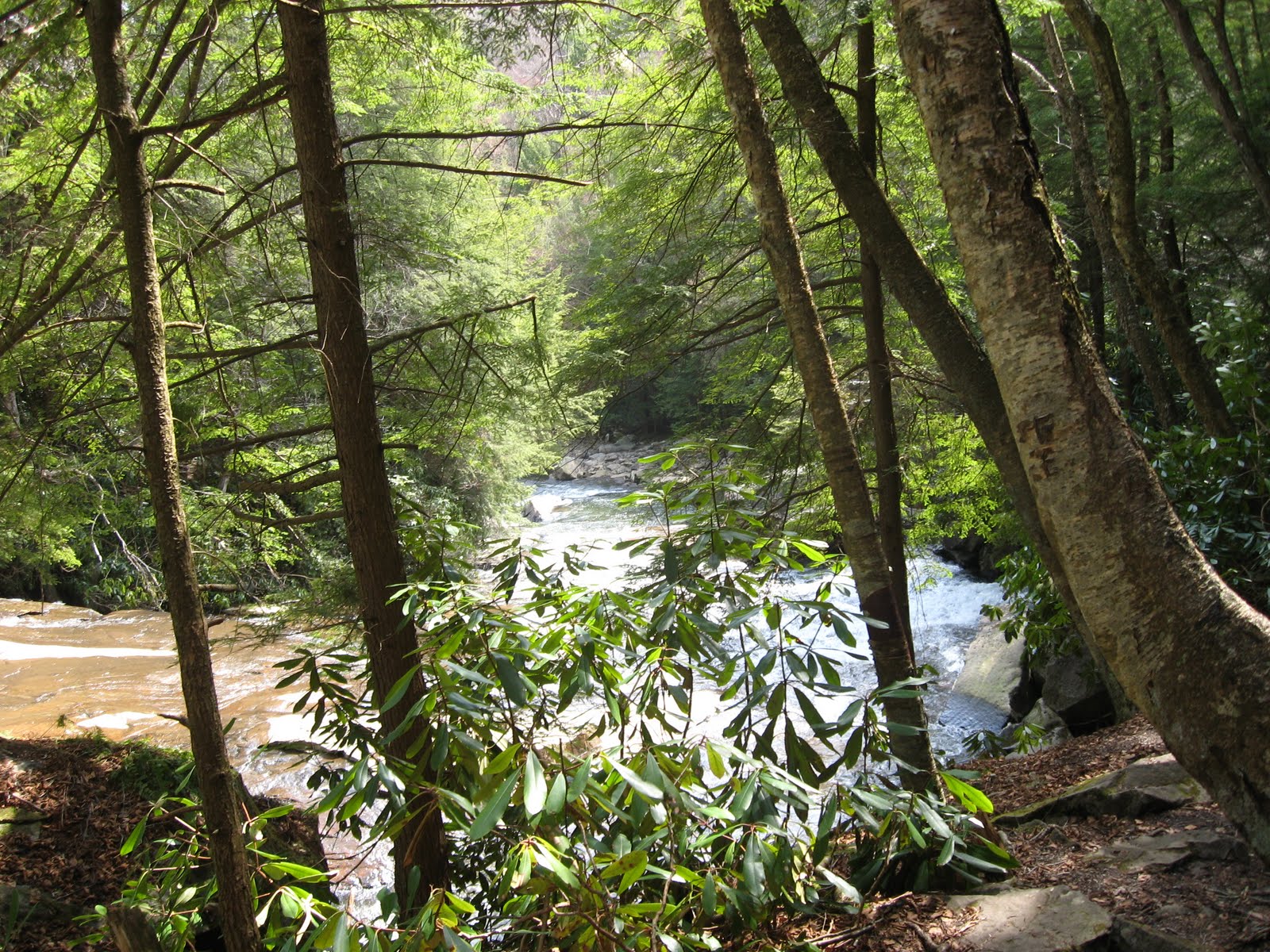 Tall Tales from a Small Town: Out of Town: Swallow Falls and Deep Creek ...