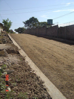 ARAUJO CONSTRUCCIONES S.A. DE C.V.: Proyecto de elaboracion de Cordon ...