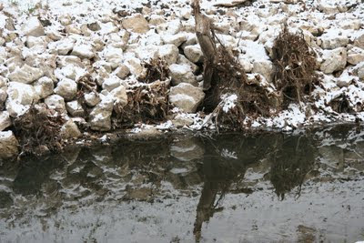 Save Our Stream: Erosion control on Pheasant Branch Creek, Middleton WI