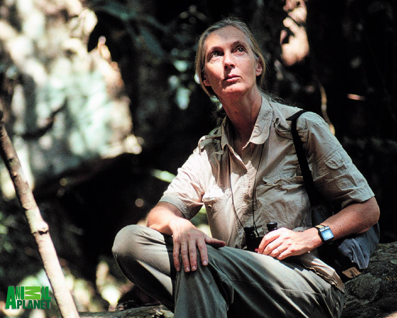 Therapy cafe BLUE DOOR: Jane , a woman to love