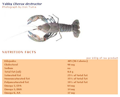 LOBSTERKU CRAYFISH FARM: Cherax Destructor / Yabby