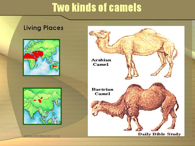 Geography film: Rabbit Proof Fence
