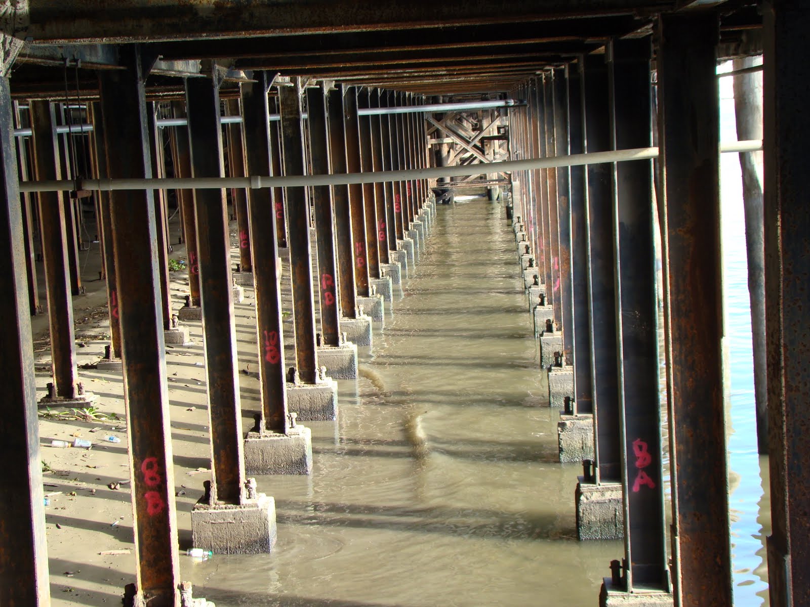 Photography by Christopher Scott Brumfield