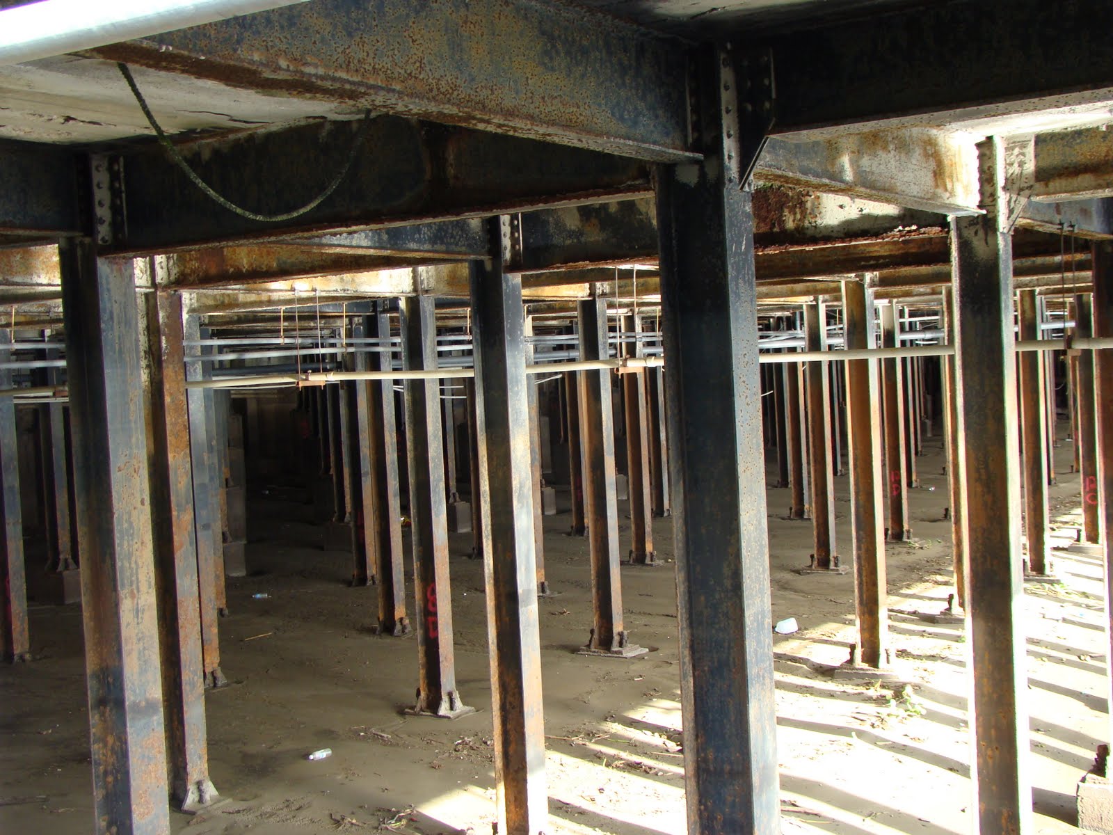 Photography by Christopher Scott Brumfield