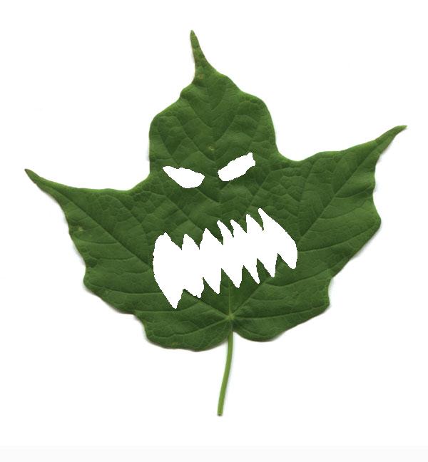Scary Leaf Productions