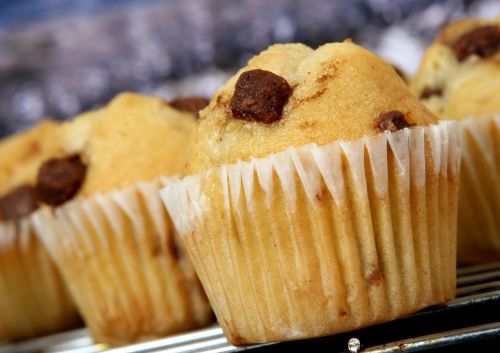 Muffins de chocochips " Chispi-muffin