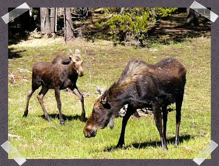 E.A.T World: France! Chocolate Mousse and Ratatouille