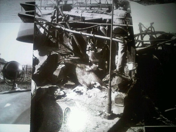 The Brownwater Navy: The River Rats of Vietnam