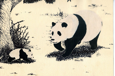 Dibujando...ando: Osito Panda Tohui