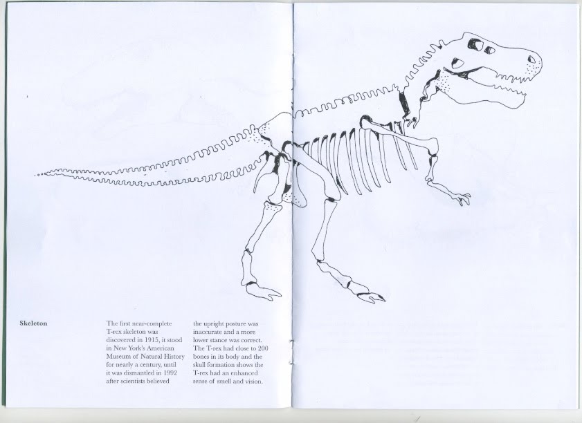 FMP: Natural History Museum