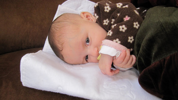 The Wilcox Girls~~~~~