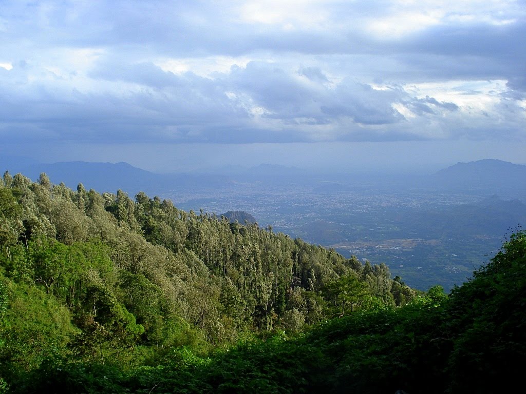 Tamil Nadu Tourist Spot: Yercaud