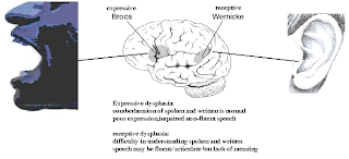 PACES resources,MRCP(uk) Practical Assessment of Clinical examination ...