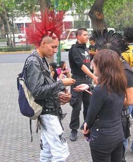 La musica y su cultura: Los punkeros