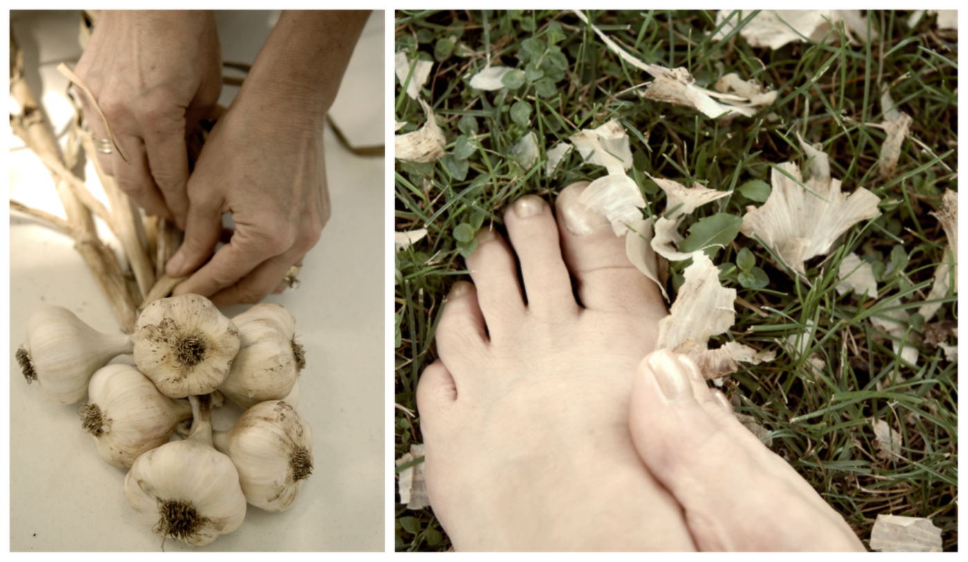 synch-ro-ni-zing: Ode to Garlic