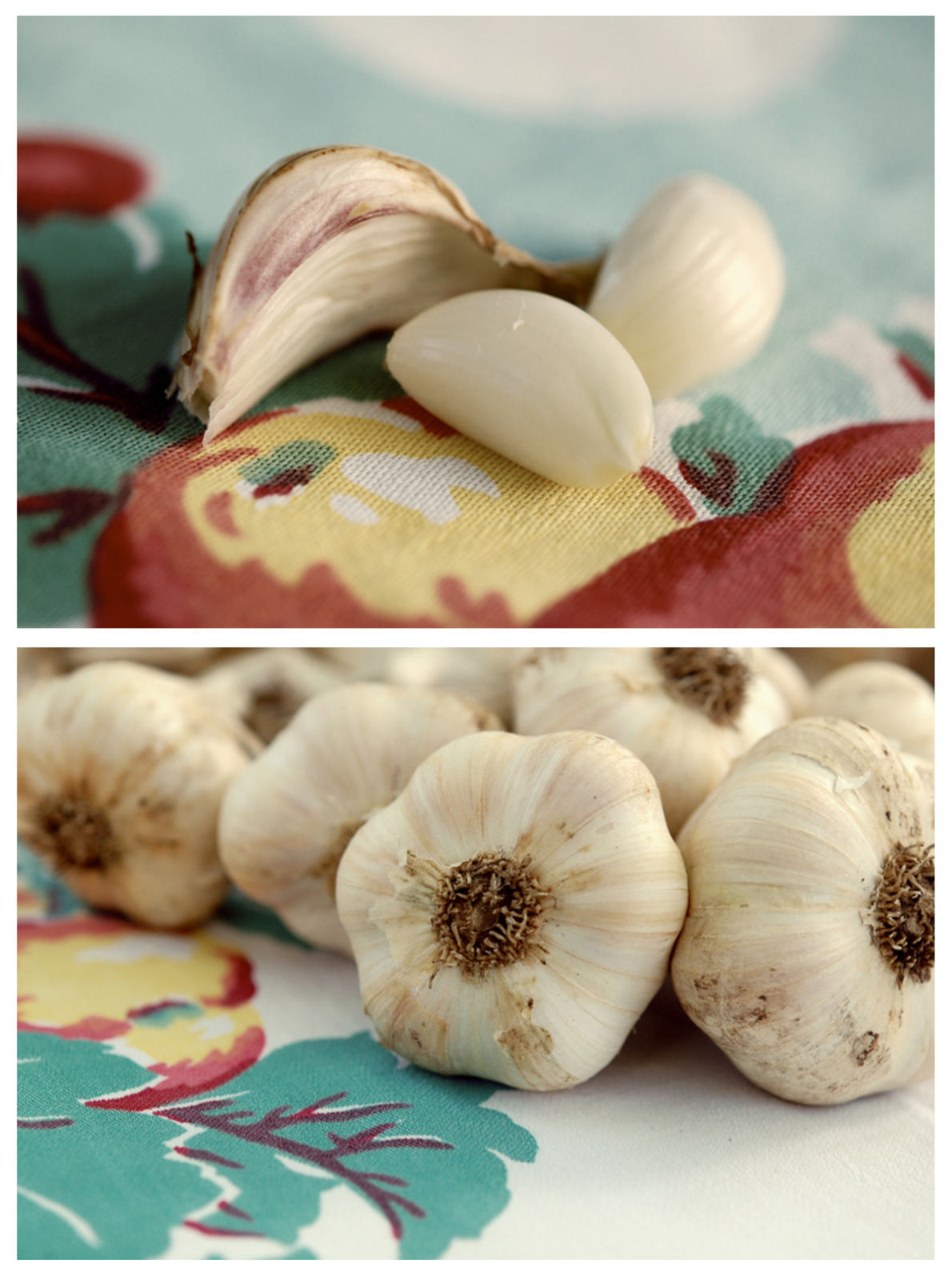 synch-ro-ni-zing: Ode to Garlic