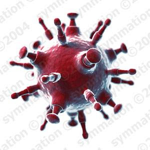 The Viridae Portal: Virus structure!