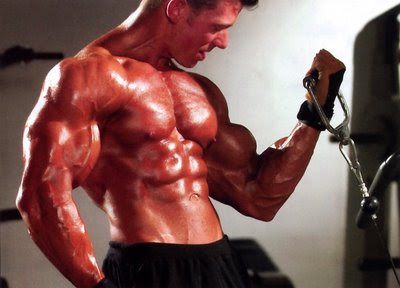 Personal trainers: El programa de entrenamiento DFHT (Entrenamiento de ...