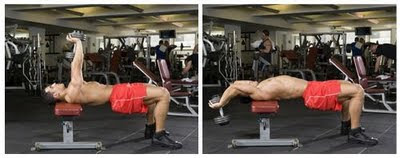 Personal trainers: Ejercicios: Pull over para pecho por Arnold ...