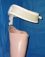 Lower Extremity Prosthesis Components | THE BLOG and FRIEND's