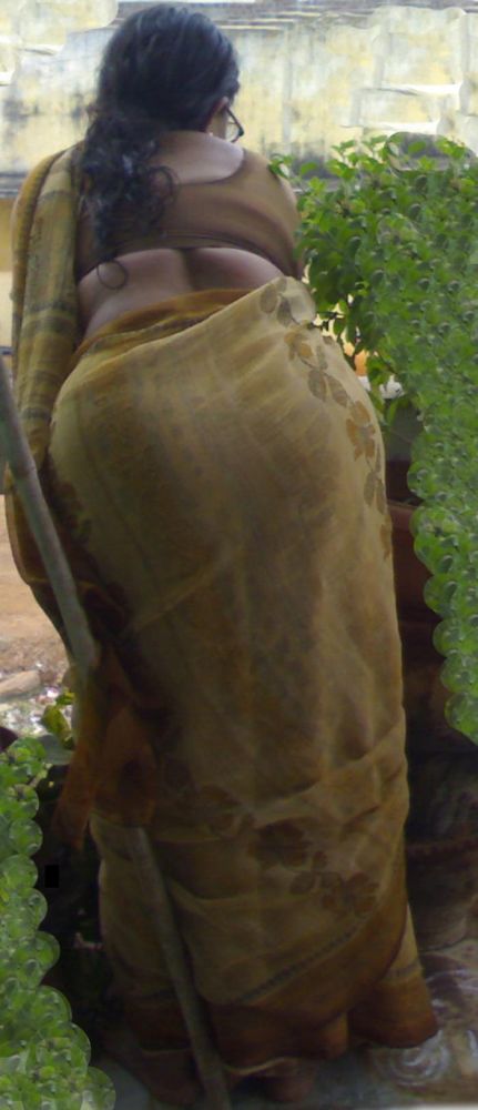 backo back: Hidden Aunties Back view