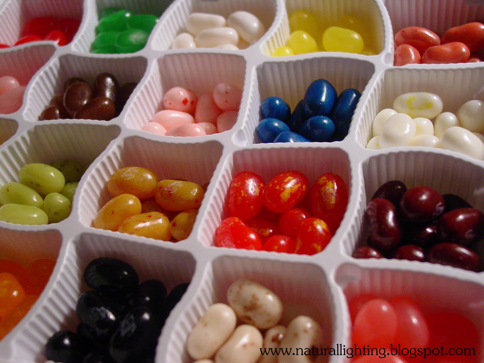 Natural Lighting: Compartmentalize