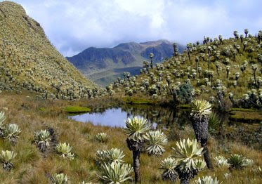 EL CANTON ESPEJO: Reserva Ecologica El Angel