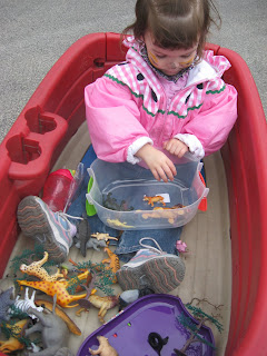 The Bough Family Homeschool: Play With Me