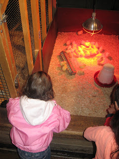 The Bough Family Homeschool: Play With Me