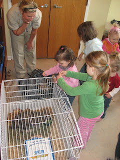 The Bough Family Homeschool: Play With Me