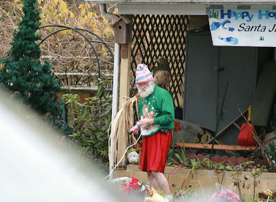 Dipped in Cream: Spotted: Christmas Garden Gnome-ALIVE!