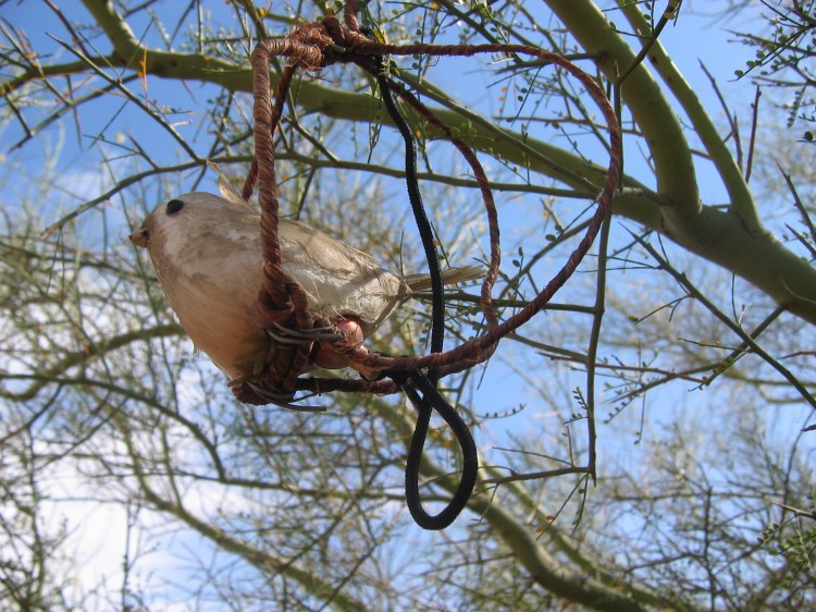 Creative Caches & Containers: Pet Caches