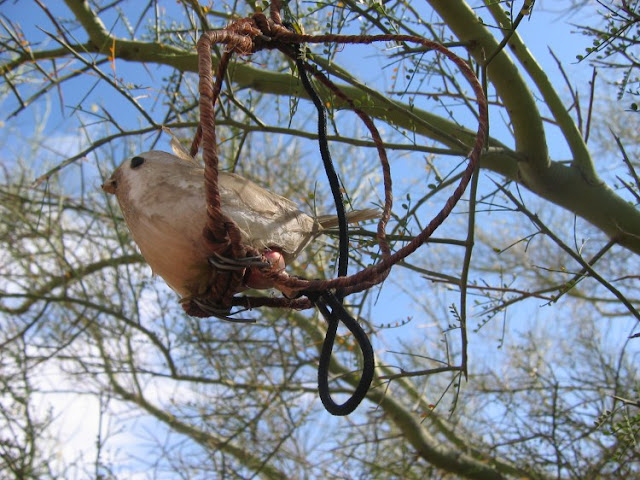 Creative Caches & Containers: Pet Caches