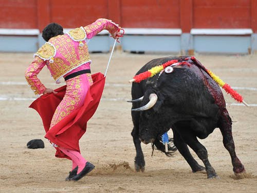 Toros en Chinchón (16 de agosto)