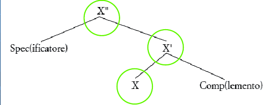 Martha's Vineyard: Diagramma ad albero e Schema X-barra - 2