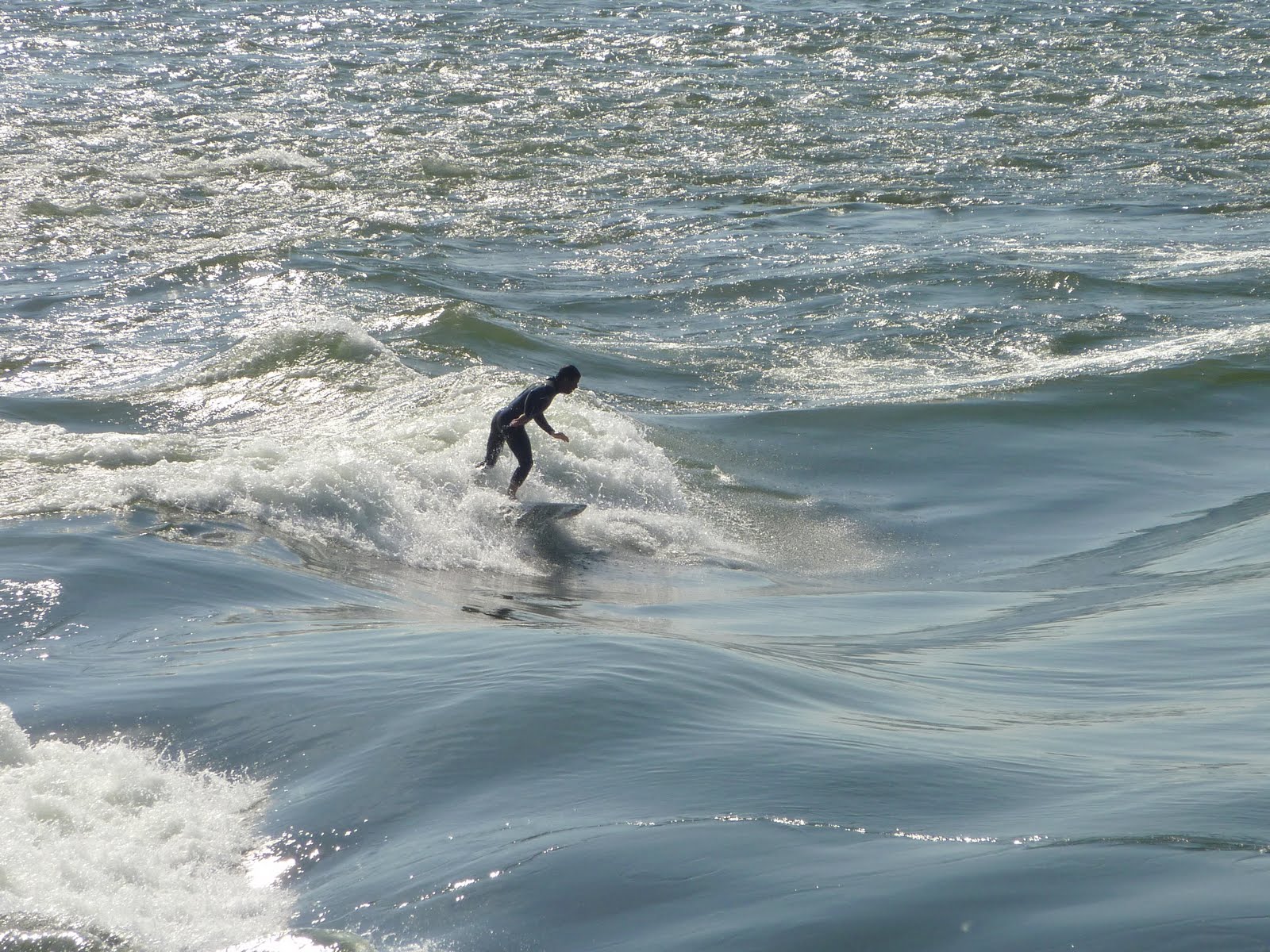 Surfing – in Montreal?