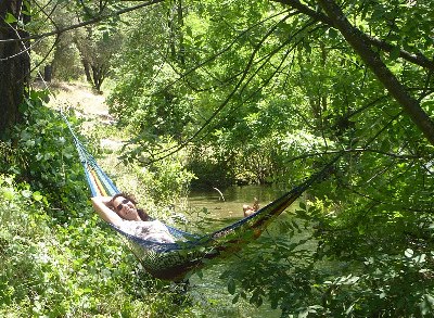 Swimming Holes! The Perfect End to Summer