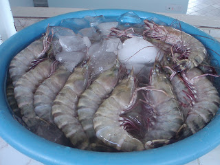 DOS HERMANOS: GO EVERYWHERE, EAT EVERYTHING: December 2008